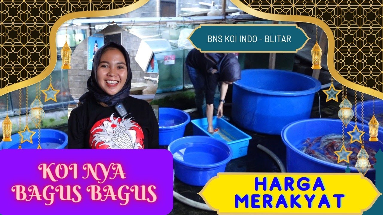 SELERA RAKYAT YOUTUBE NI‼️BURUAN‼️KOINYA BAGUS - BAGUS,DAN HARGANYA ...