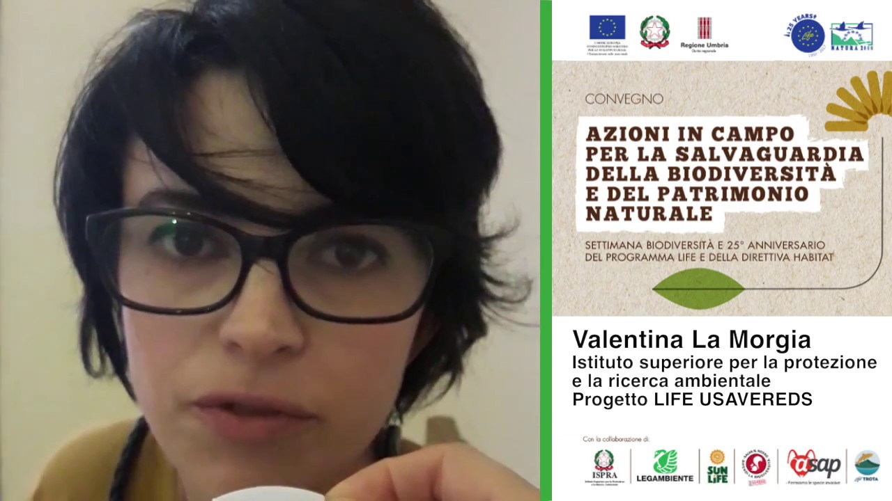 Intervista a Valentina La Morgia di Ispra, progetto U-Savereds - YouTube
