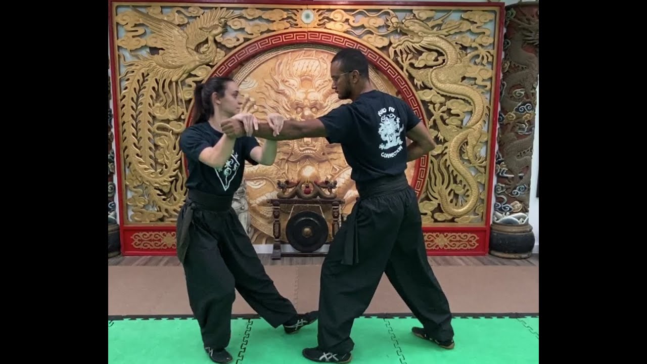 KUNG FU CONNECTION PRAYING MANTIS - YouTube