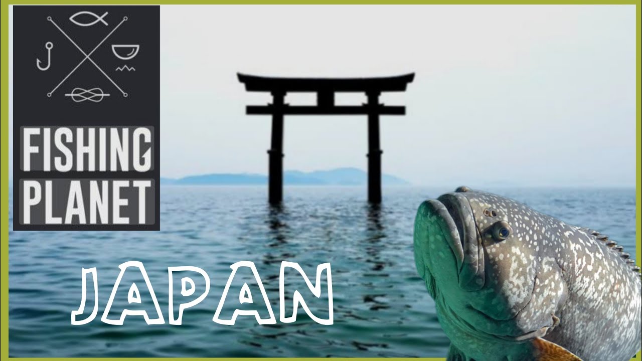 Fishing planet - Live Ao Vivo Grouper Competition - YouTube