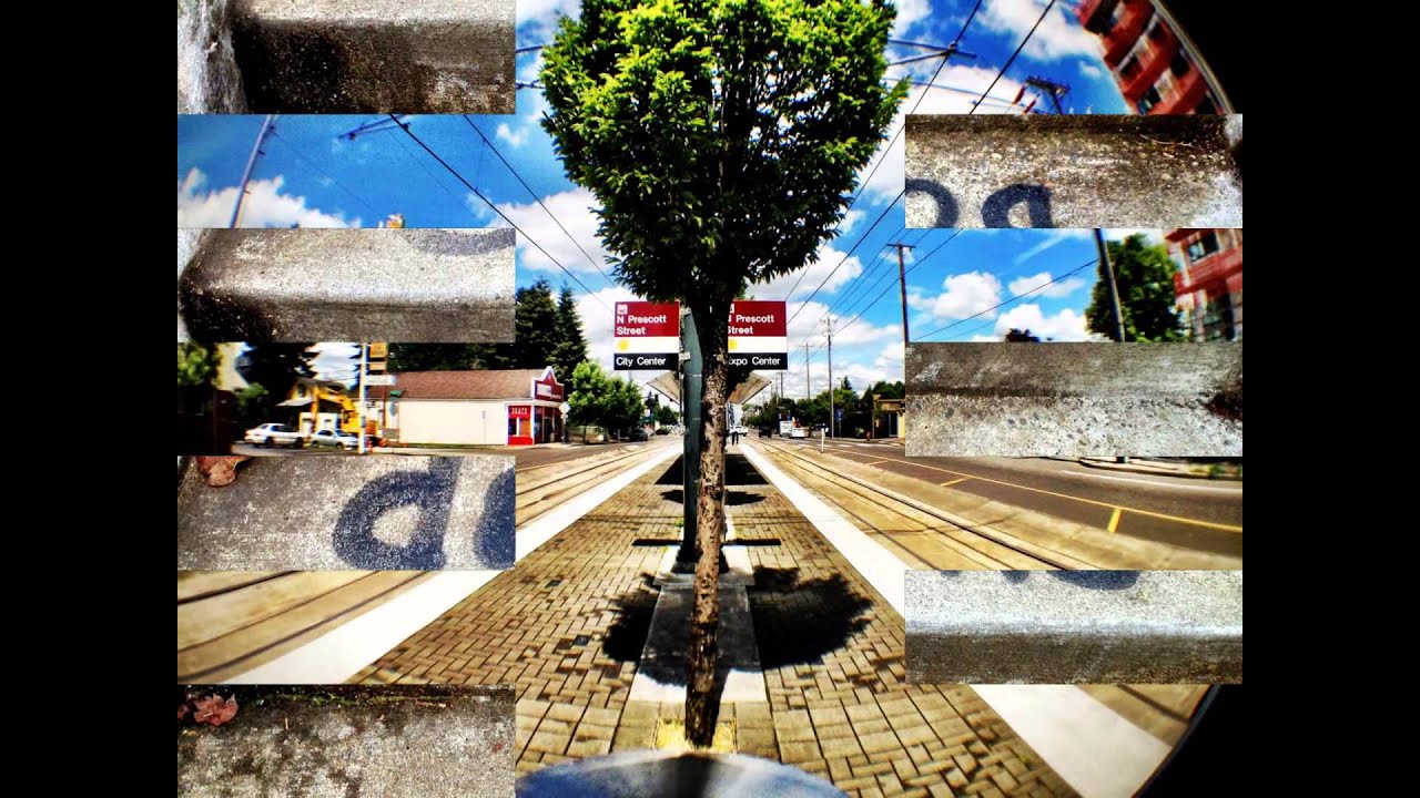 Up close or far away? Perspectives on landscape - YouTube
