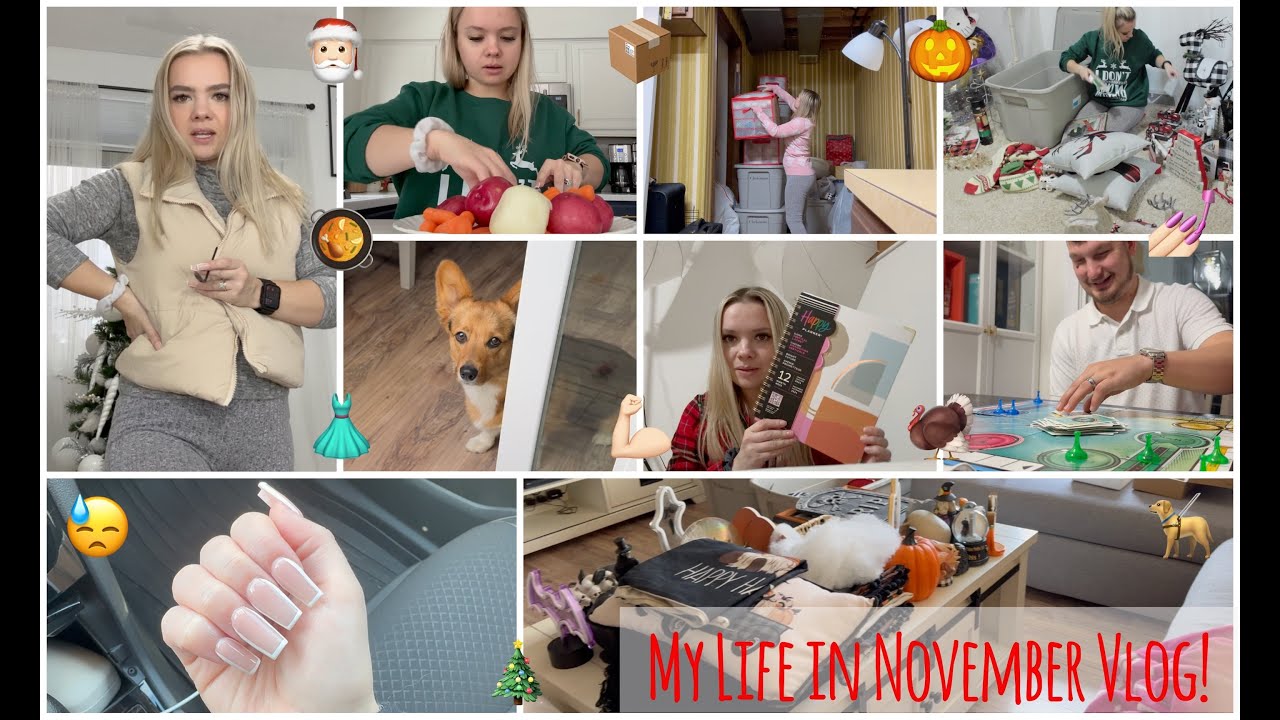 My Life in November Vlog! (2023) - YouTube