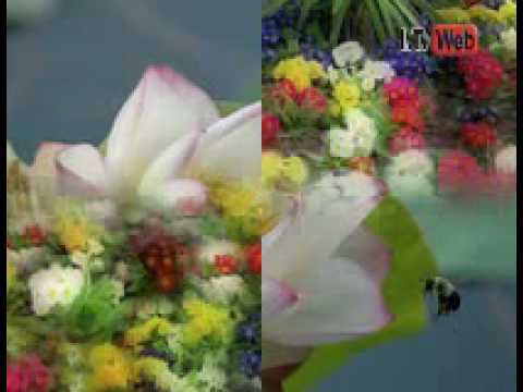 Forbidden Games (Instrumental).flv