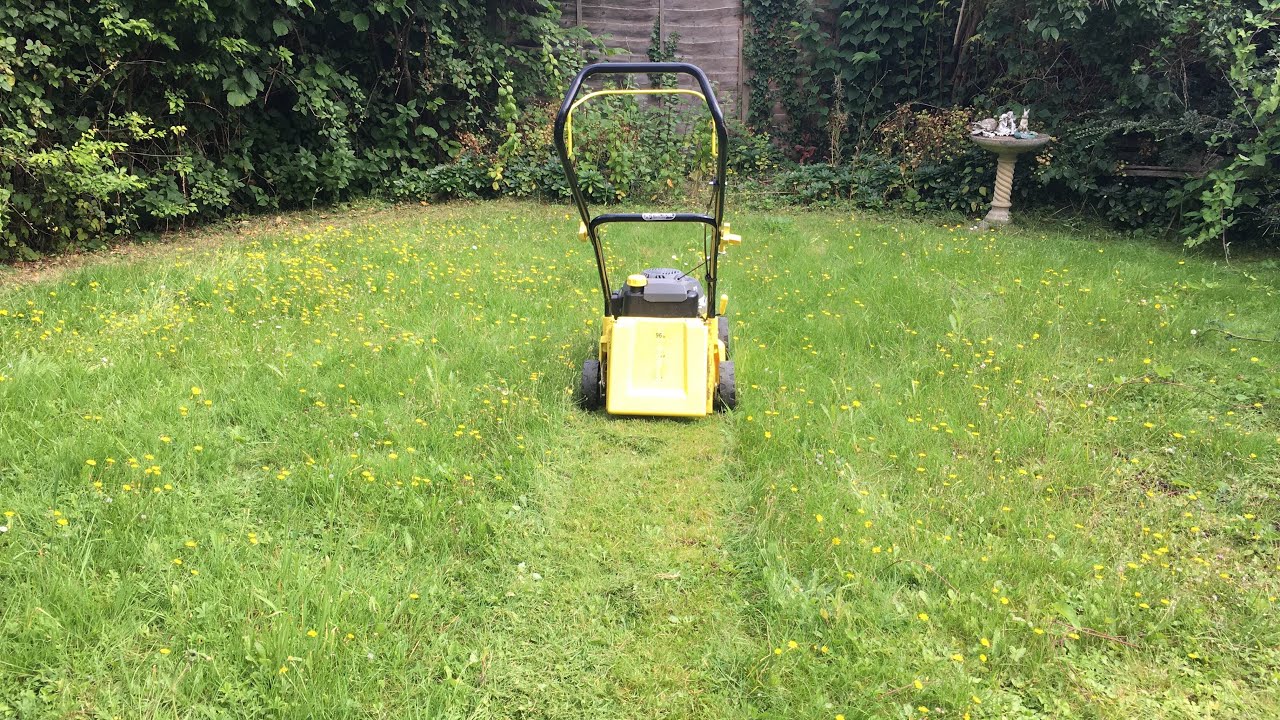 Tidying up overgrown garden border - YouTube