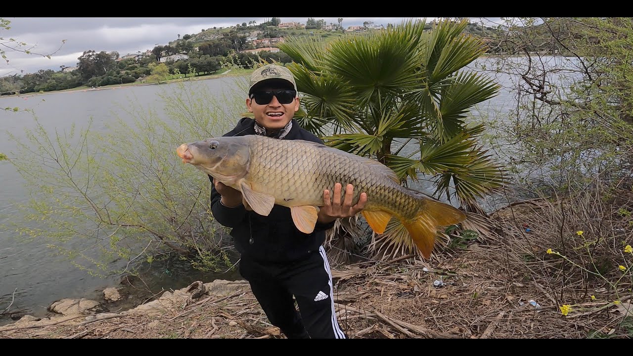 pesca en bonelli park - YouTube
