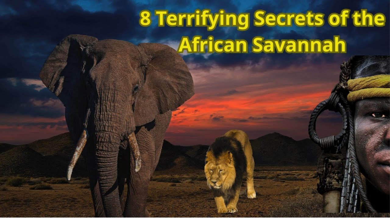 8 Hidden Secrets of the African Savannah You’ve Never Heard Of l ...