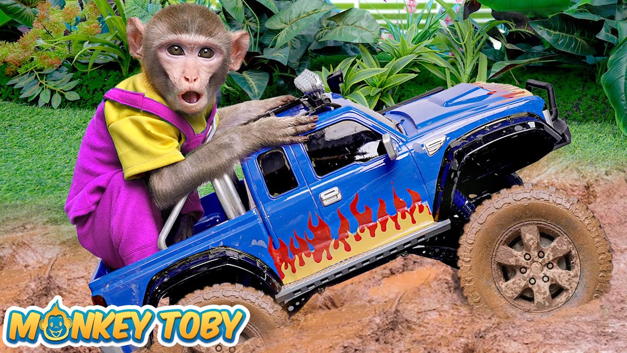 Monkey Toby have fun playing with Monster Truck car | MONKEY TOBY ...