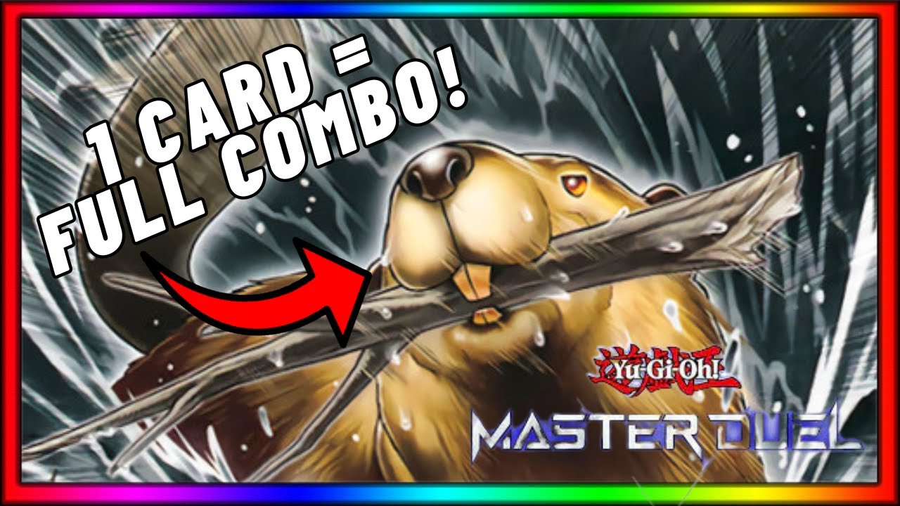 ONLY Nimble Beaver Spright Combo | Yu-Gi-Oh Master Duel - YouTube