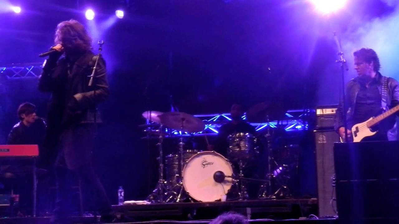 Waylon - Love drunk @ Bevrijdingsfestival Zoetermeer - YouTube