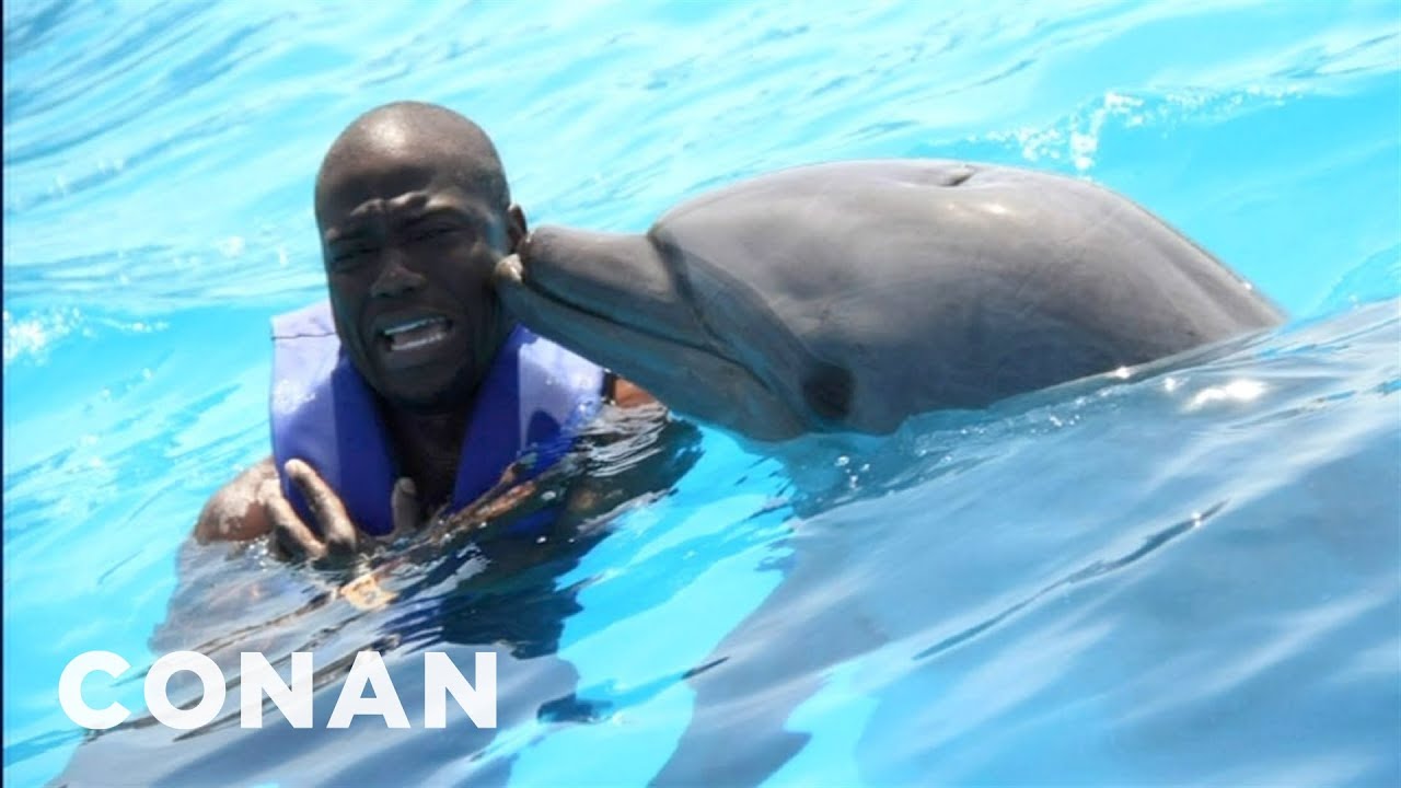 Kevin Hart: Dolphins Are Racist! | CONAN on TBS - YouTube