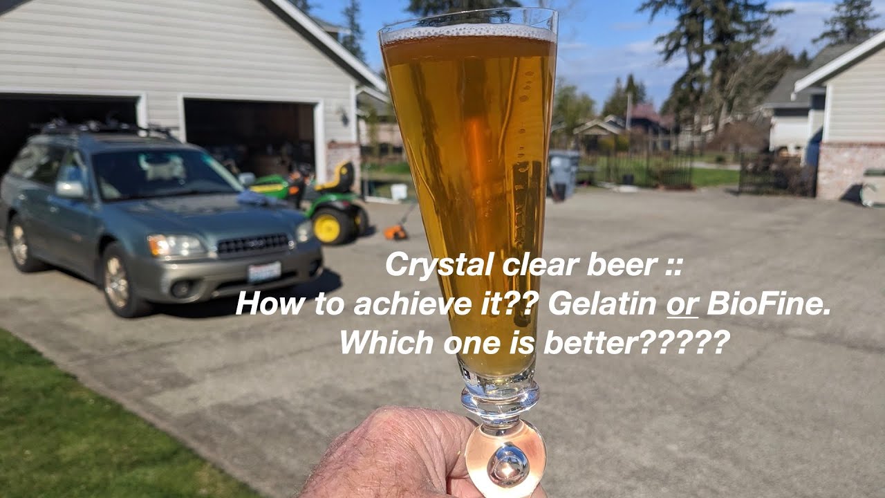 Homebrewing Clarification :: BioFine vs. Gelatin - YouTube