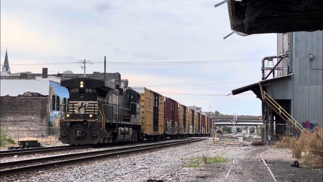 Solo Hammerhead NS D9-44CW 9671 w/ Nice K5LA Leads T21-27 on 10/27/23 - YouTube