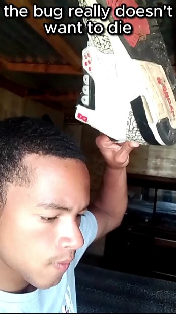 My boy can sing tho ! - YouTube