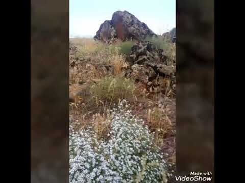 Cemal öztaş 'tan bir türlü  yorum kaymalı tacir