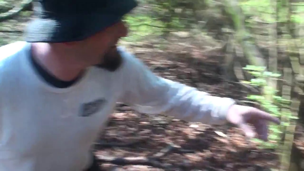 Giant Georgia Morels Growing Under Mature Privet - YouTube