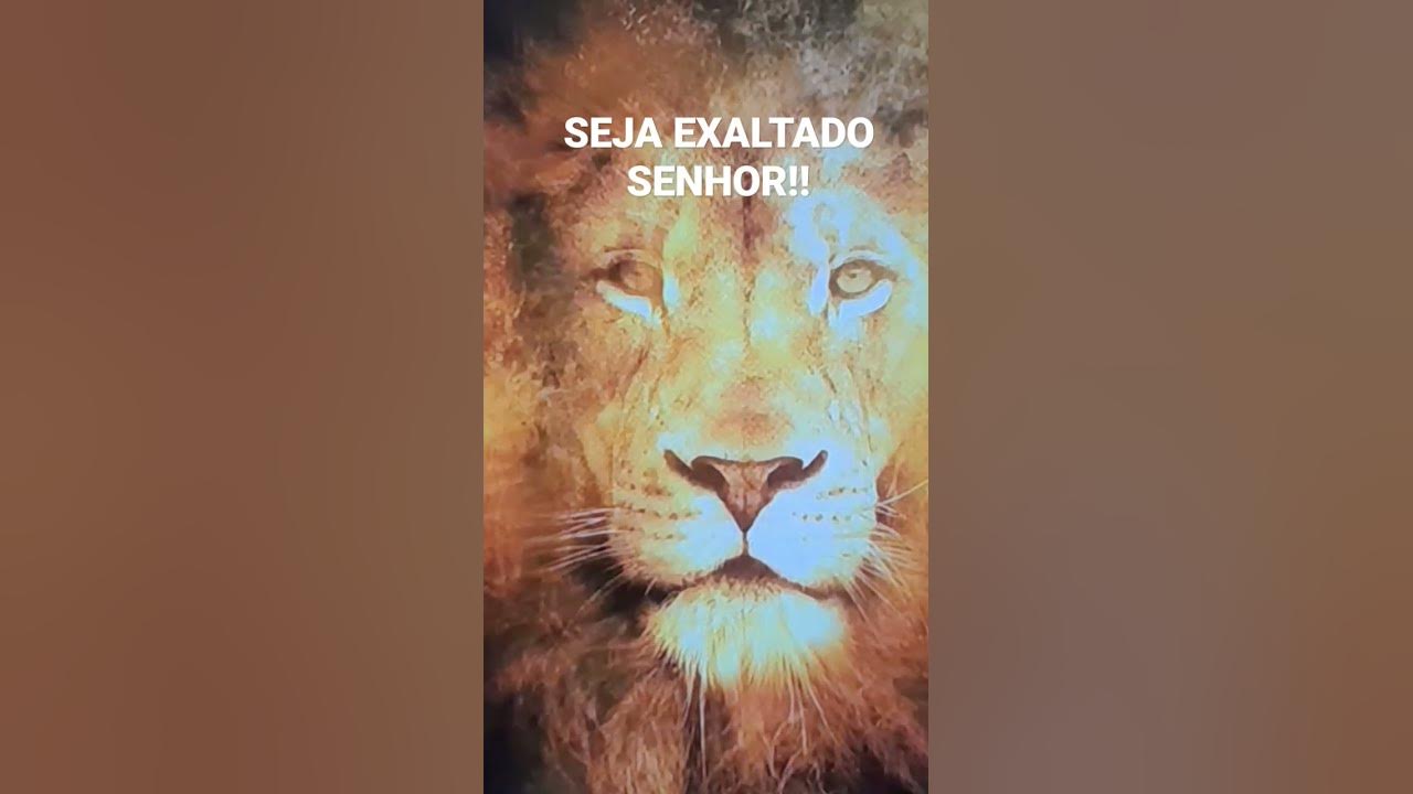 Responde Me Senhor Queremos Te Adorar Naçãodoceu Gospel