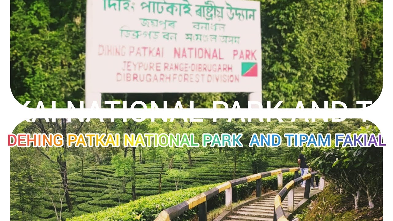 JAIPUR RAINFOREST AND TIPAM FAKIAL MINI VLOGS 🇮🇳🥰🥰🥰 - YouTube
