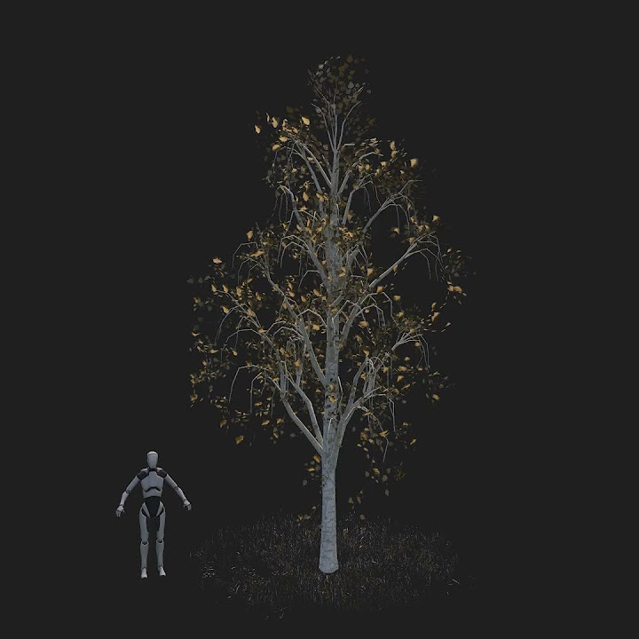 Birch Autumn V6 Gamedev 3dmodeling Unity Unityassetstore Unityasset Speedtree Youtube
