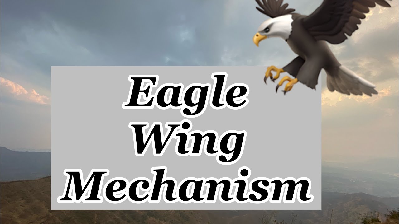 Eagle Wing Mechanism @atmyhappyplace8003 / Moving Eagle - YouTube