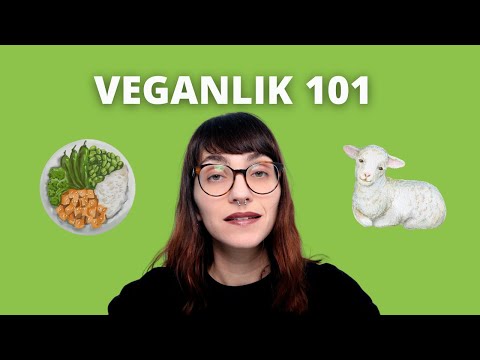 Yeni başlayanlar için vegan olma önerileri 🐮🌱😌