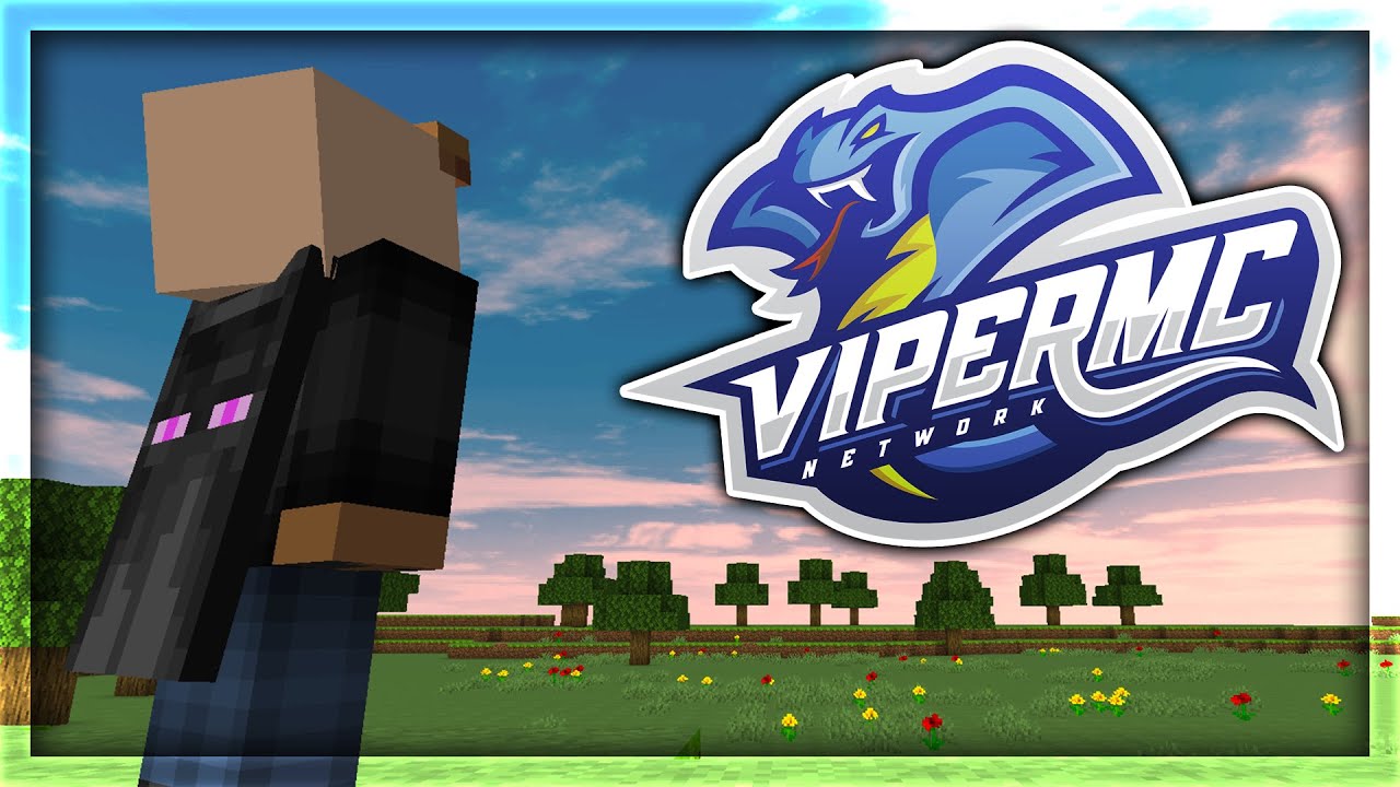 I Got Partner at ViperMC... - YouTube