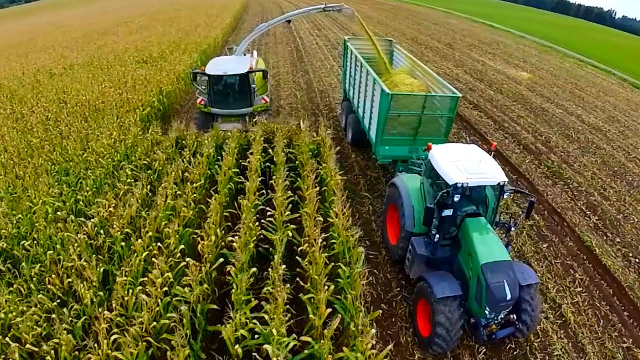 Maisernte 2015 // 2500PS gegen den Mais // 5x Fendt 936, 828 & 724 ...
