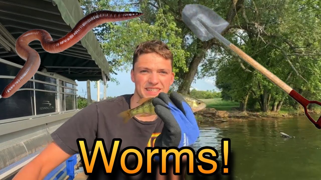 Catching Worms and Using Them as Fishing Bait! - YouTube