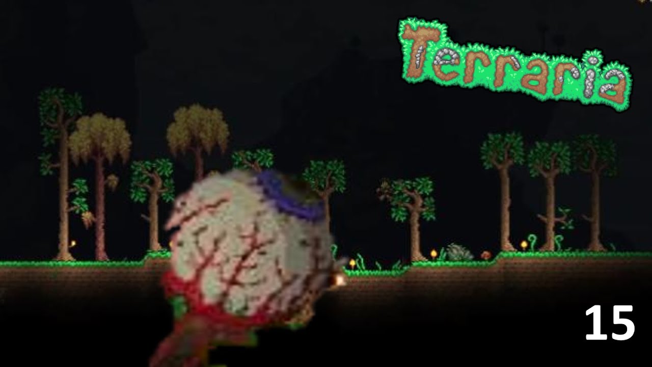 Time For Our First Boss Fight! | Terraria - YouTube