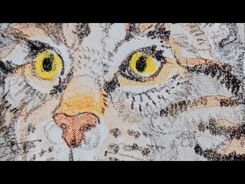 The Cat, the Rooster, and the Mouse. One of Aesop's Fables by Jerry ...