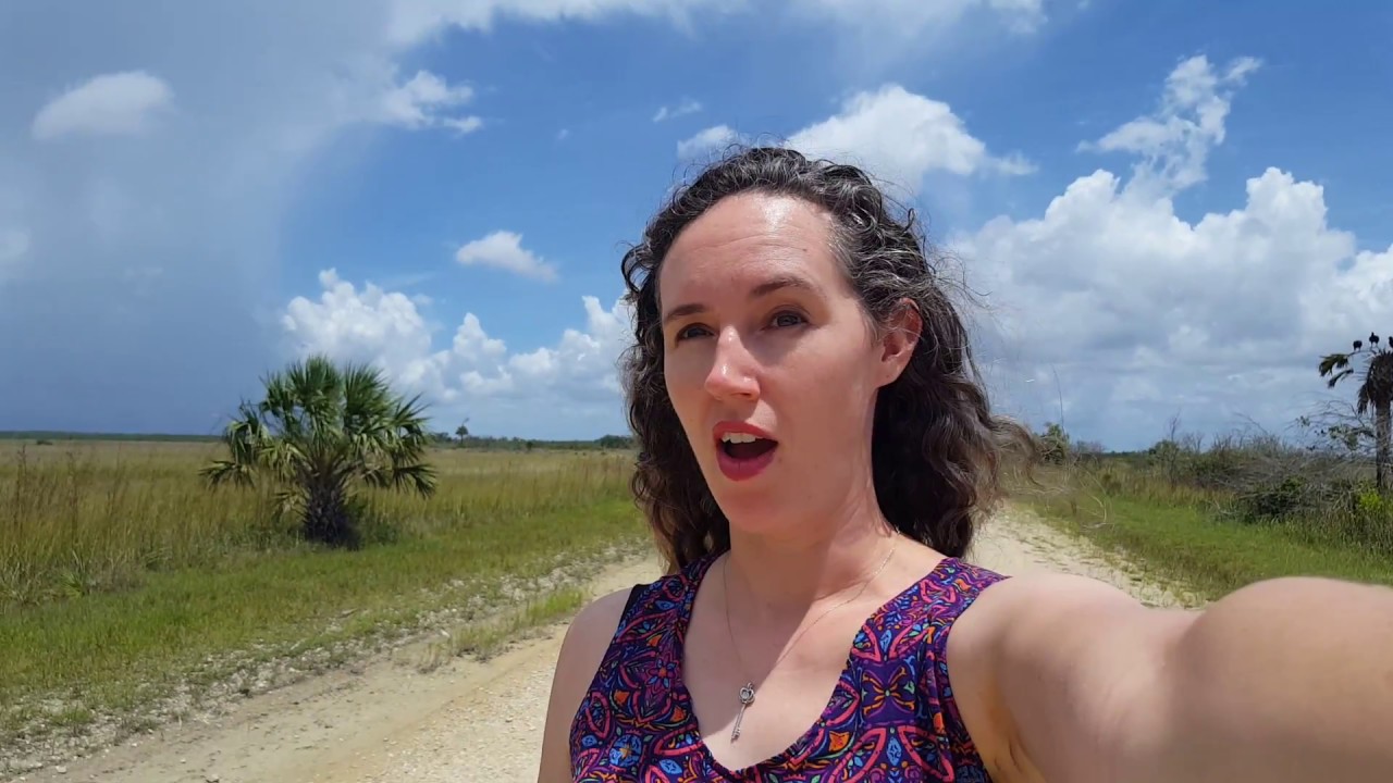 Strange Black Vulture Flock Behavior - Big Cypress National Preserve - YouTube