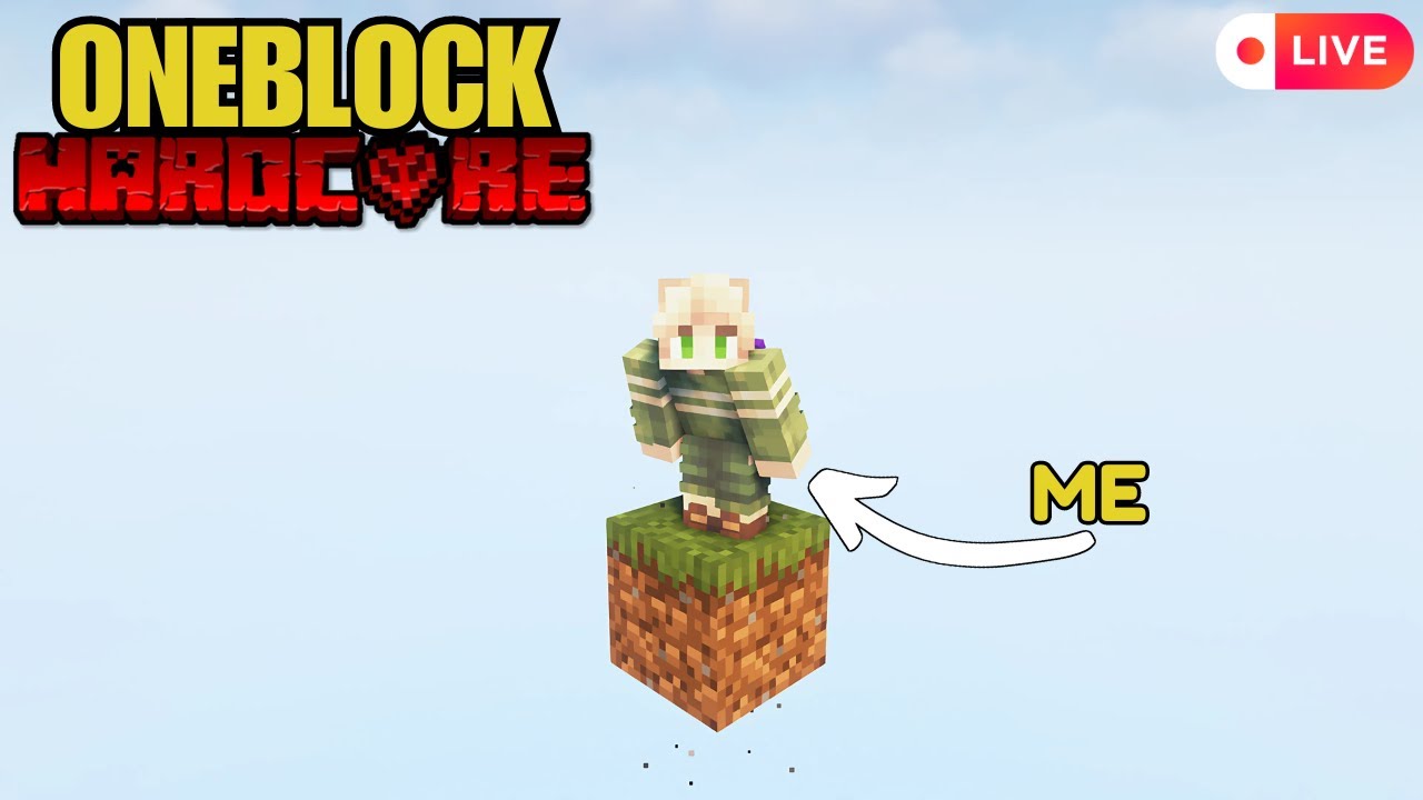 ONEBLOCK Hardcore Minecraft! - YouTube