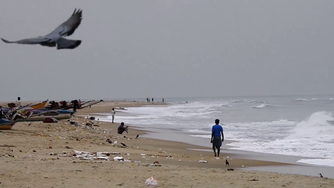 Nikon p900 zoom test beach - YouTube