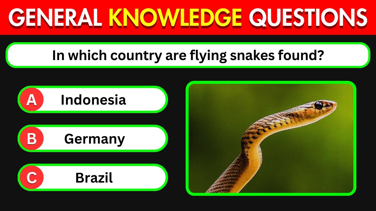 Important Knowledge About World 🌍🐍| General Knowledge Quiz | GK ...