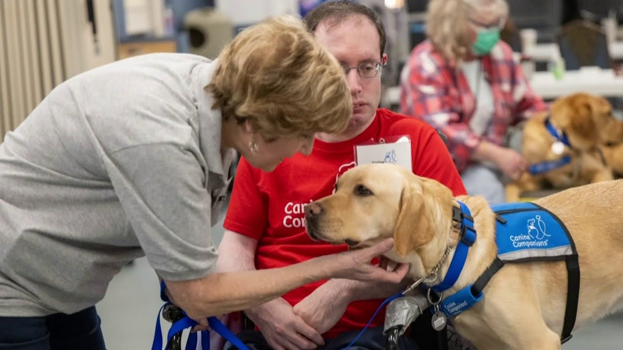 Flo with Canine Companions matches with family as service dog - YouTube