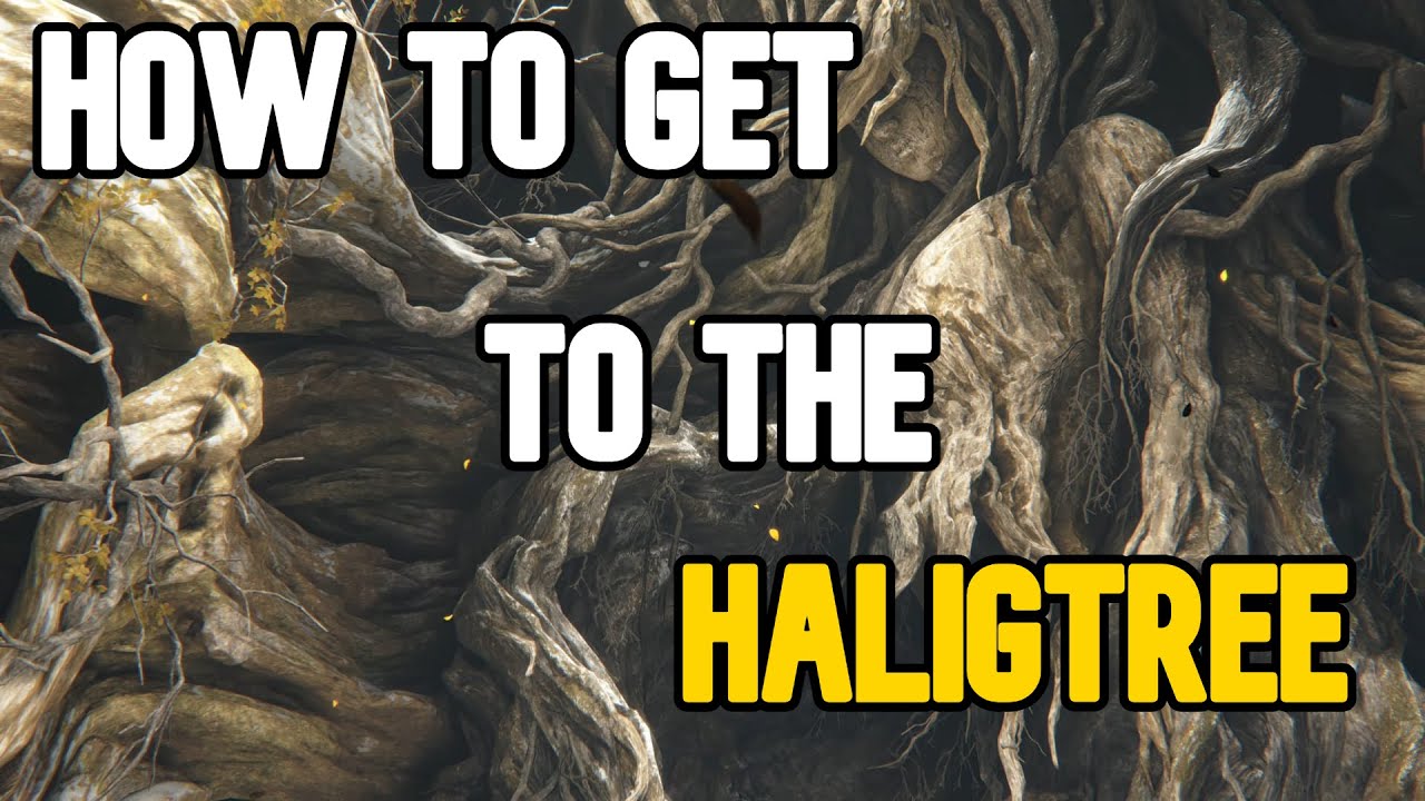 How to get to the Halig Tree - YouTube