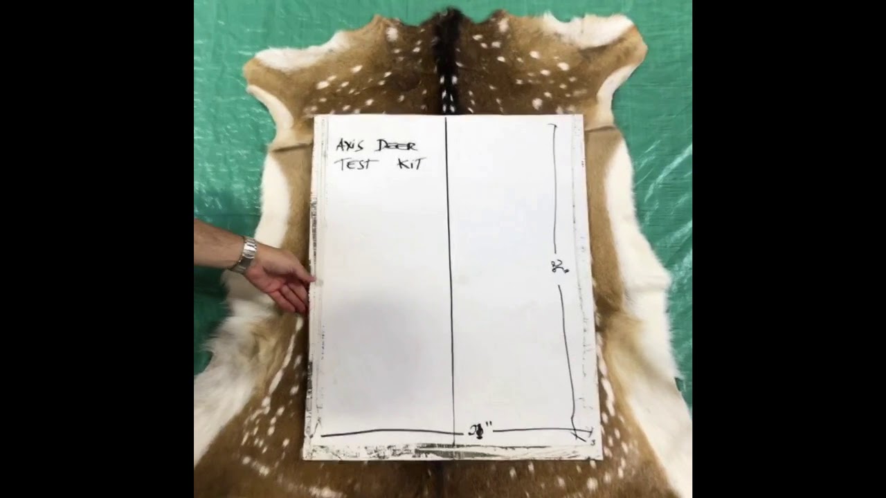 Axis Deer Upholstery Grade Hides - YouTube