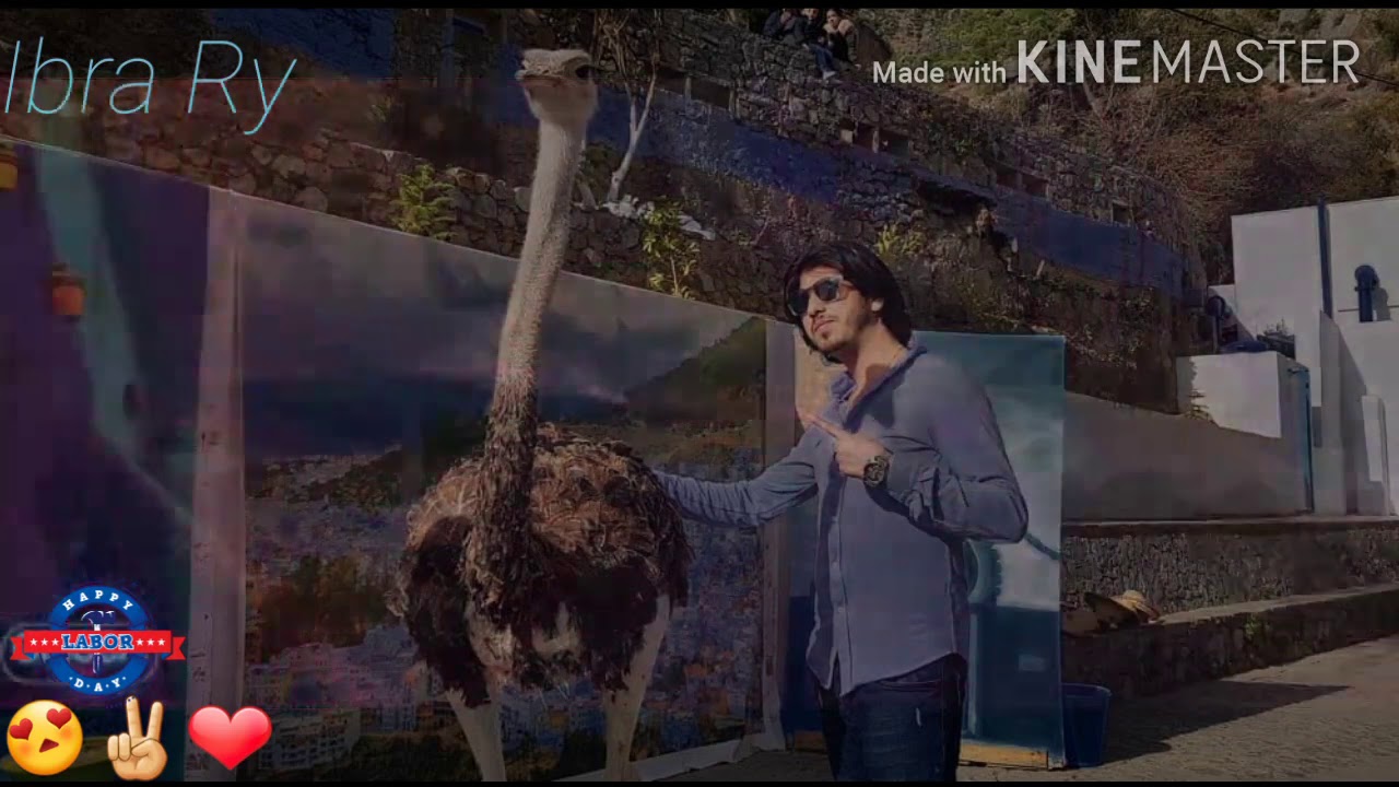 Glissa f Ibra Ray pore Ray# 18 /Ibra Ray & oumaima Namri- tmanit lmout ...