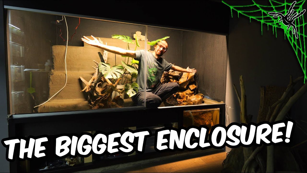 I Can KEEP HUMANS Inside - The Biggest Terrarium! - YouTube