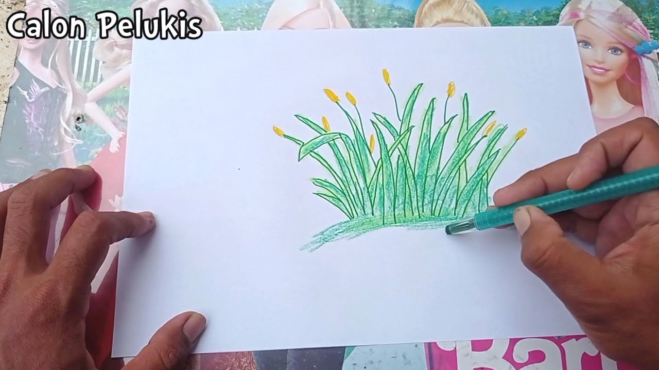 Cara menggambar dan mewarnai rumput ilalang dengan mudah, belajar ...