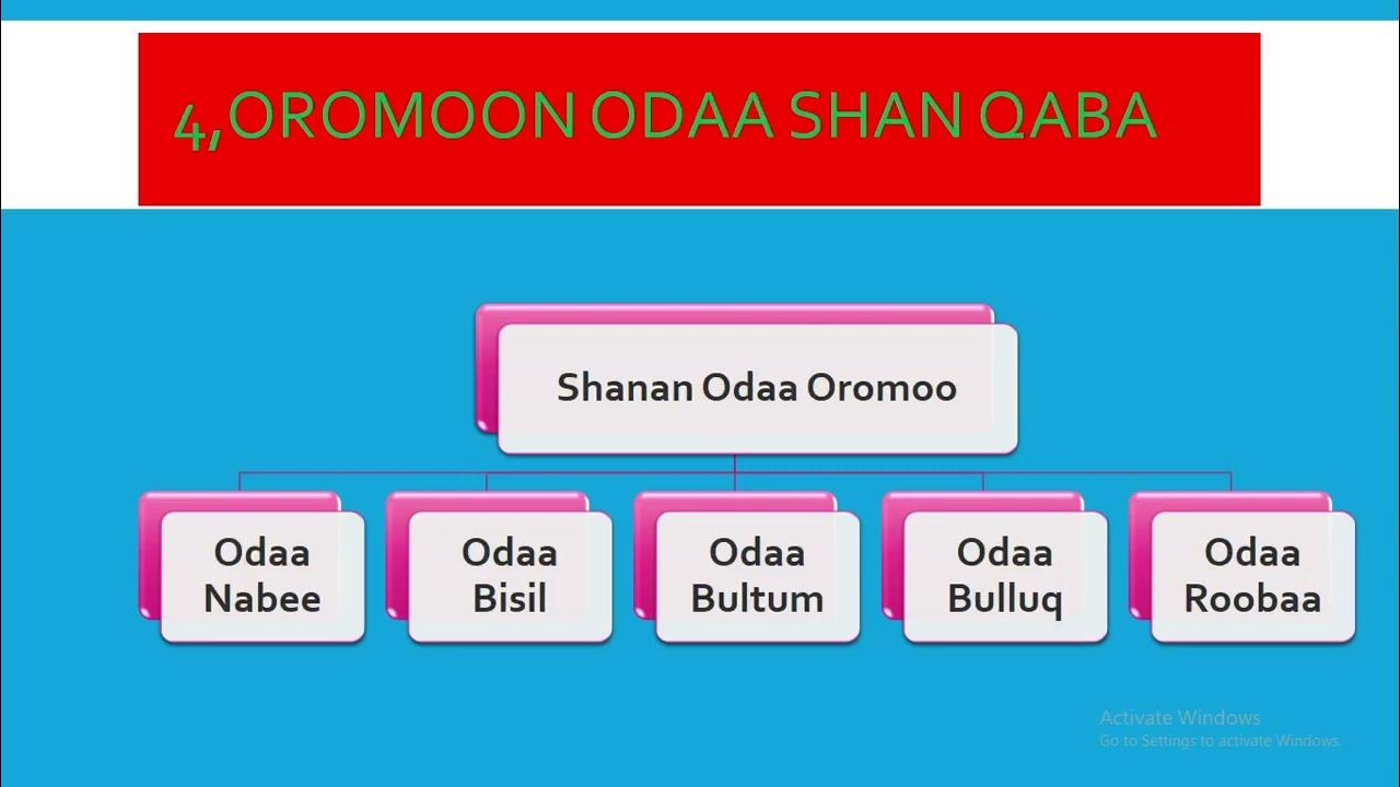 Lakkoofsi shan Oromoo biratti akkamiin ibsama? Shanan Odaa, Hortee, Gadaa Oromoo Love Music ...