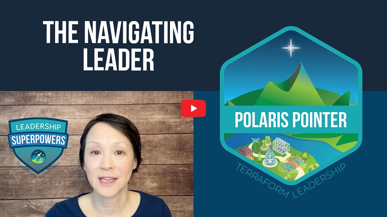 22. The Polaris Pointer (Directional Leader): Your Leadership Style ...