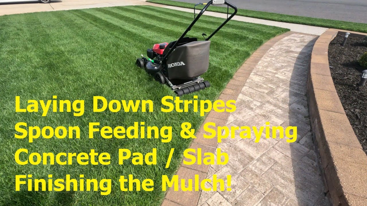 Mowed the yard, spoon feeding fertilizer & spraying the grass, and a ...