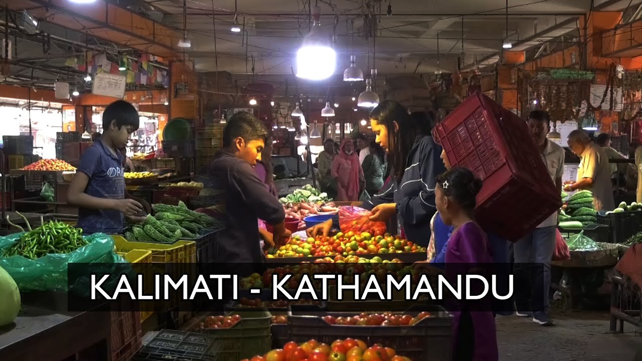 Kalimati Tarkari Bazar || Vegetable Market in Nepal || nepali lifestyle ...
