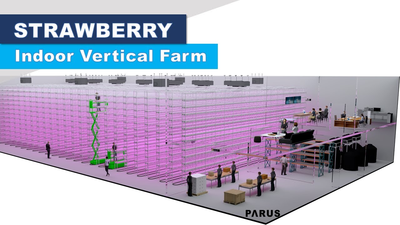 Strawberry Vertical Farm PARUS - YouTube