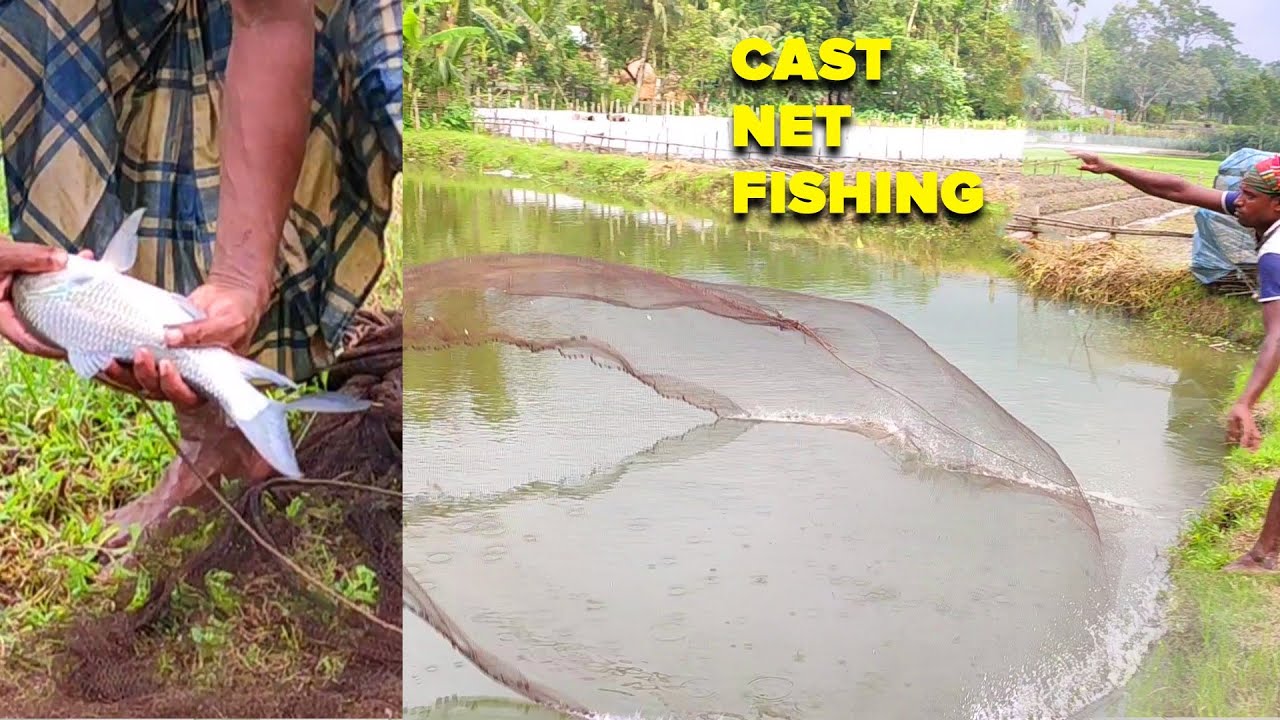 Traditional Cast net Fishing In My Beautiful Village Lake | Fishing ...