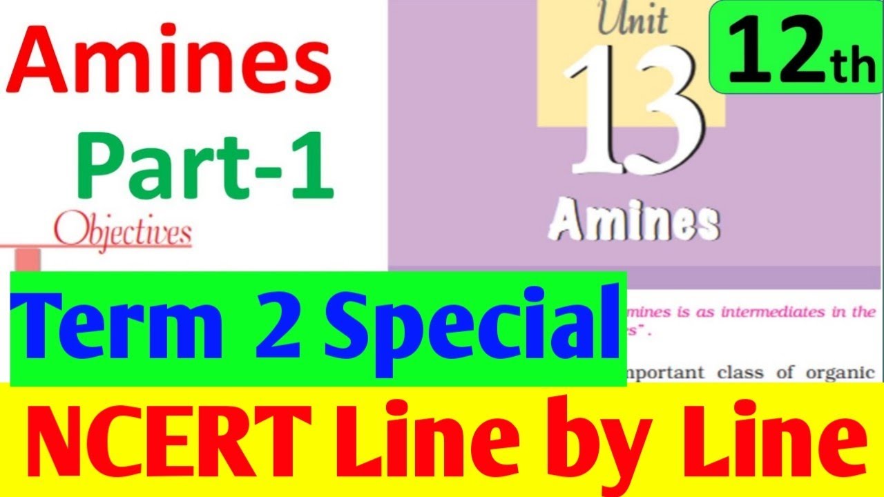 12th NCERT Chemistry Amines part-1| class 12 organic chapter 13 | IIT ...