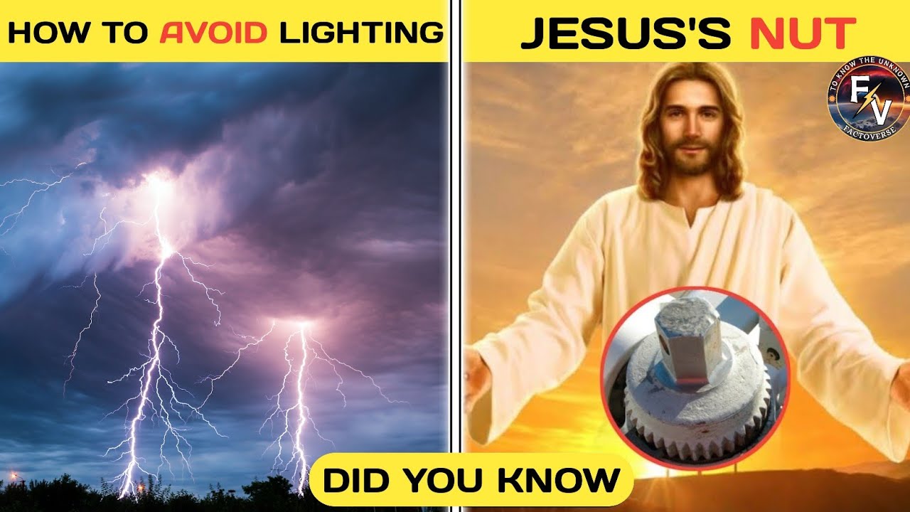 What is Jesus's Nut | How to Avoid Lighting Strike | Did You Know | Top ...