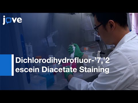 Detection Of Total Reactive Oxygen Species In Adherent Cells-Preview