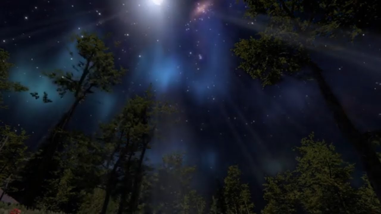 Sounds of the Forest at Night to Relax After a Hard Day. Relaxing ...