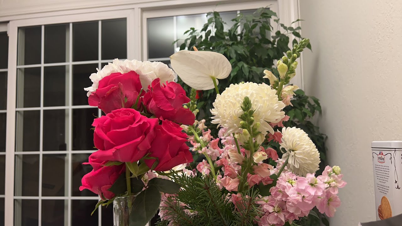 Mid week booster live stream - YouTube